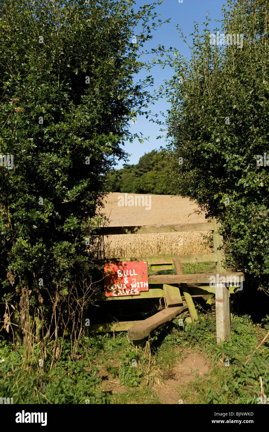 Bull in red sign hi-res stock photography and images - Alamy