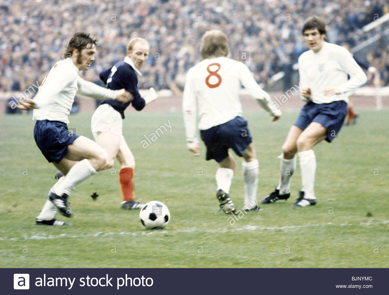 Mike Pejic Stock Photos & Mike Pejic Stock Images - Alamy