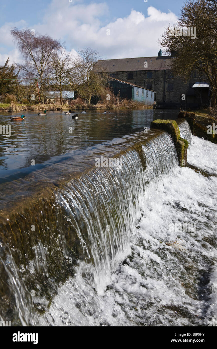 Great rowsley hi-res stock photography and images - Alamy