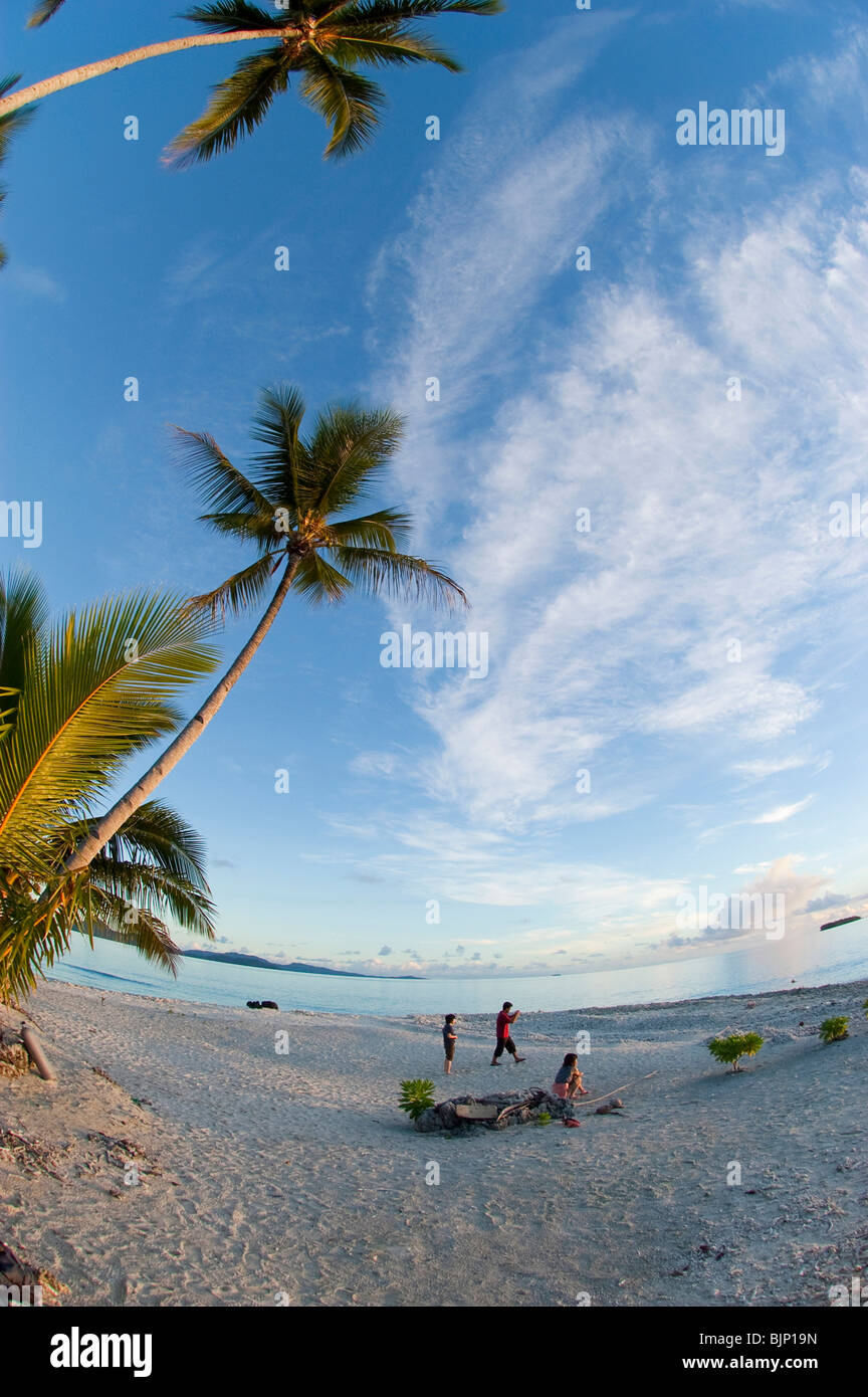 Palm Trees in Chuuk, Micronesia Stock Photo - Alamy