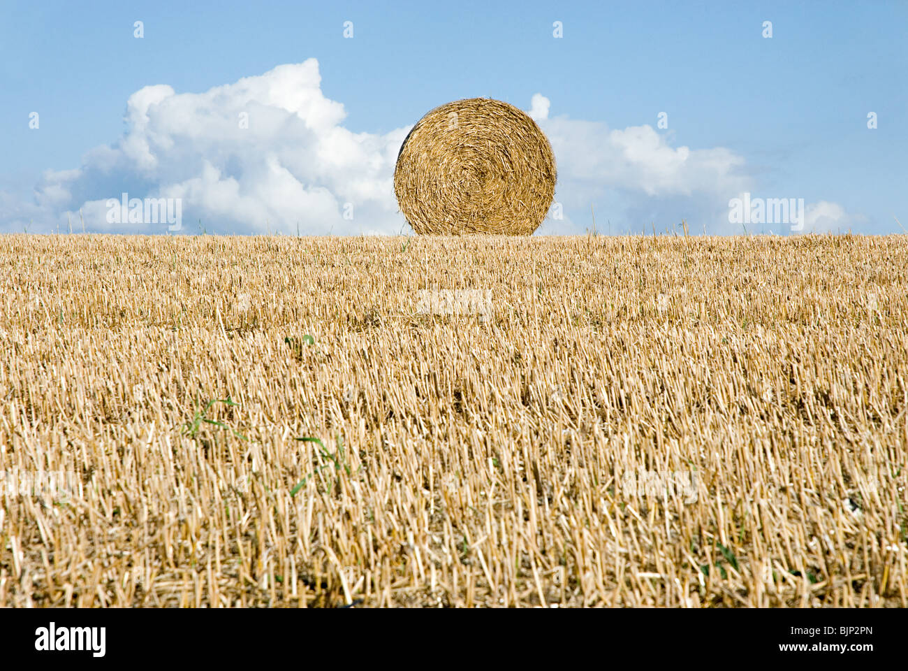 Bale type hi-res stock photography and images - Alamy