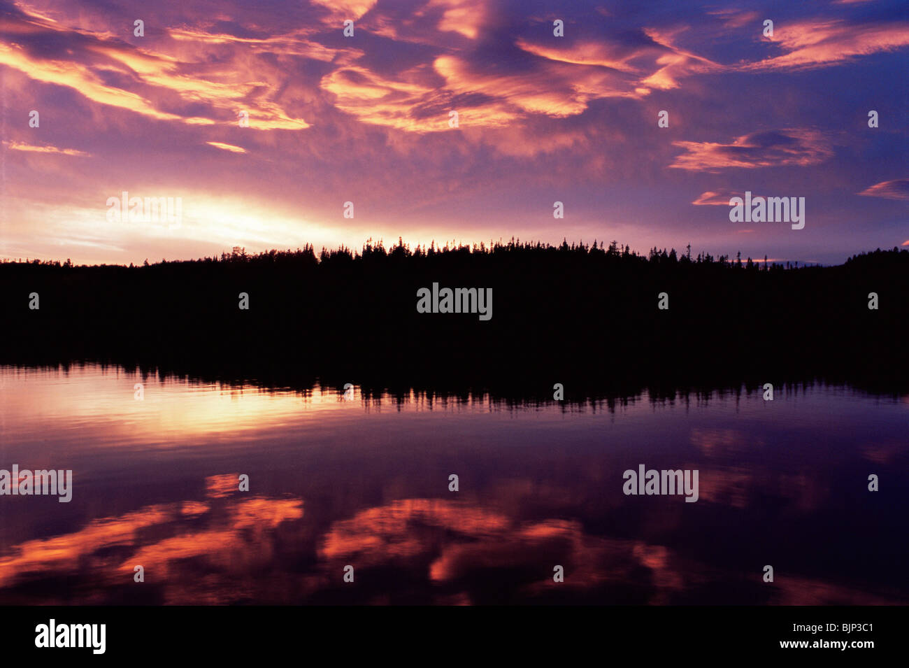 Canadi High Resolution Stock Photography and Images - Alamy