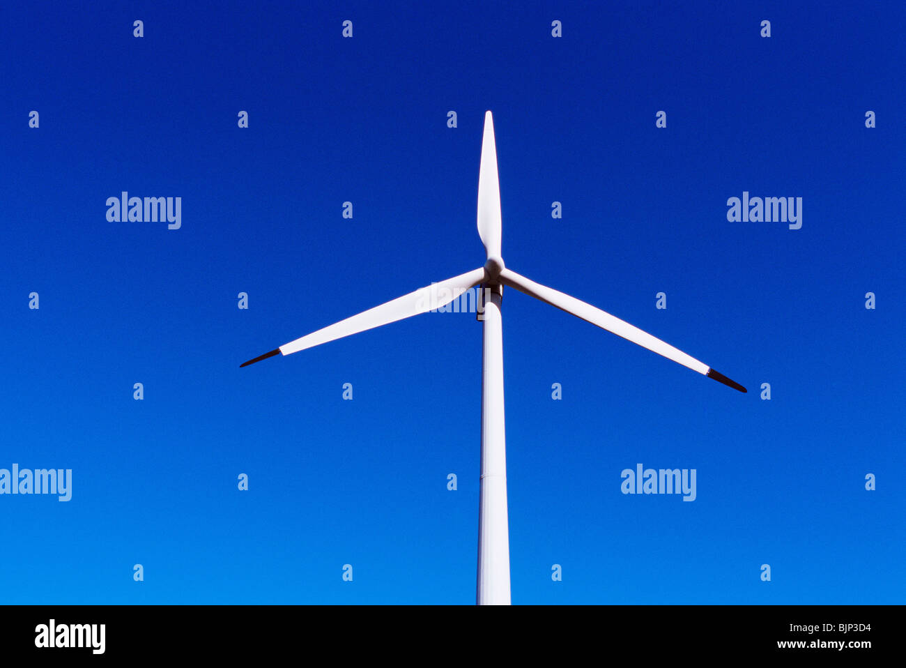 Heavy wind cutout hi-res stock photography and images - Alamy