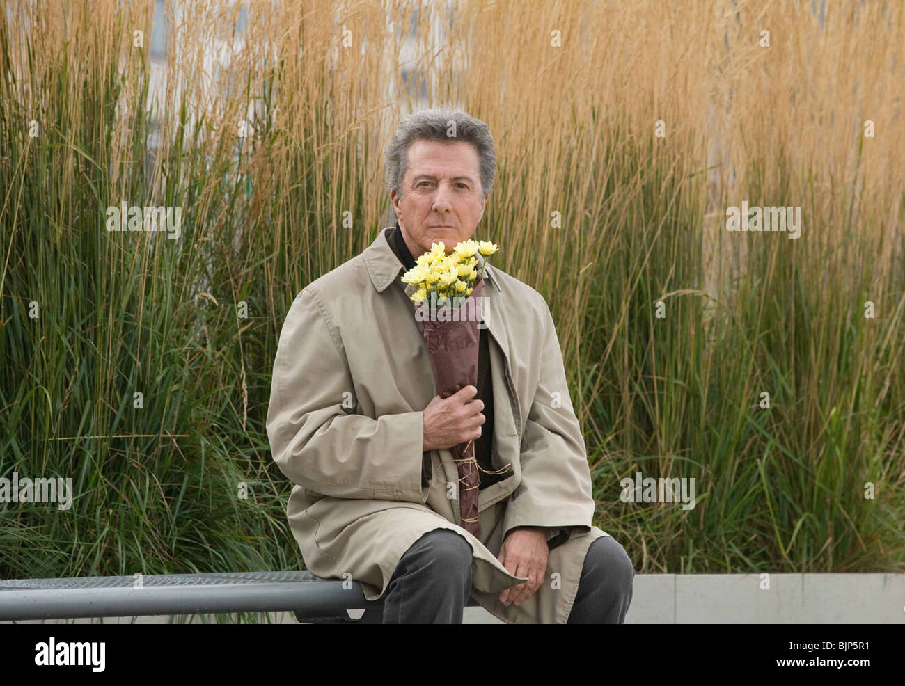 Last chance harvey hi-res stock photography and images - Alamy