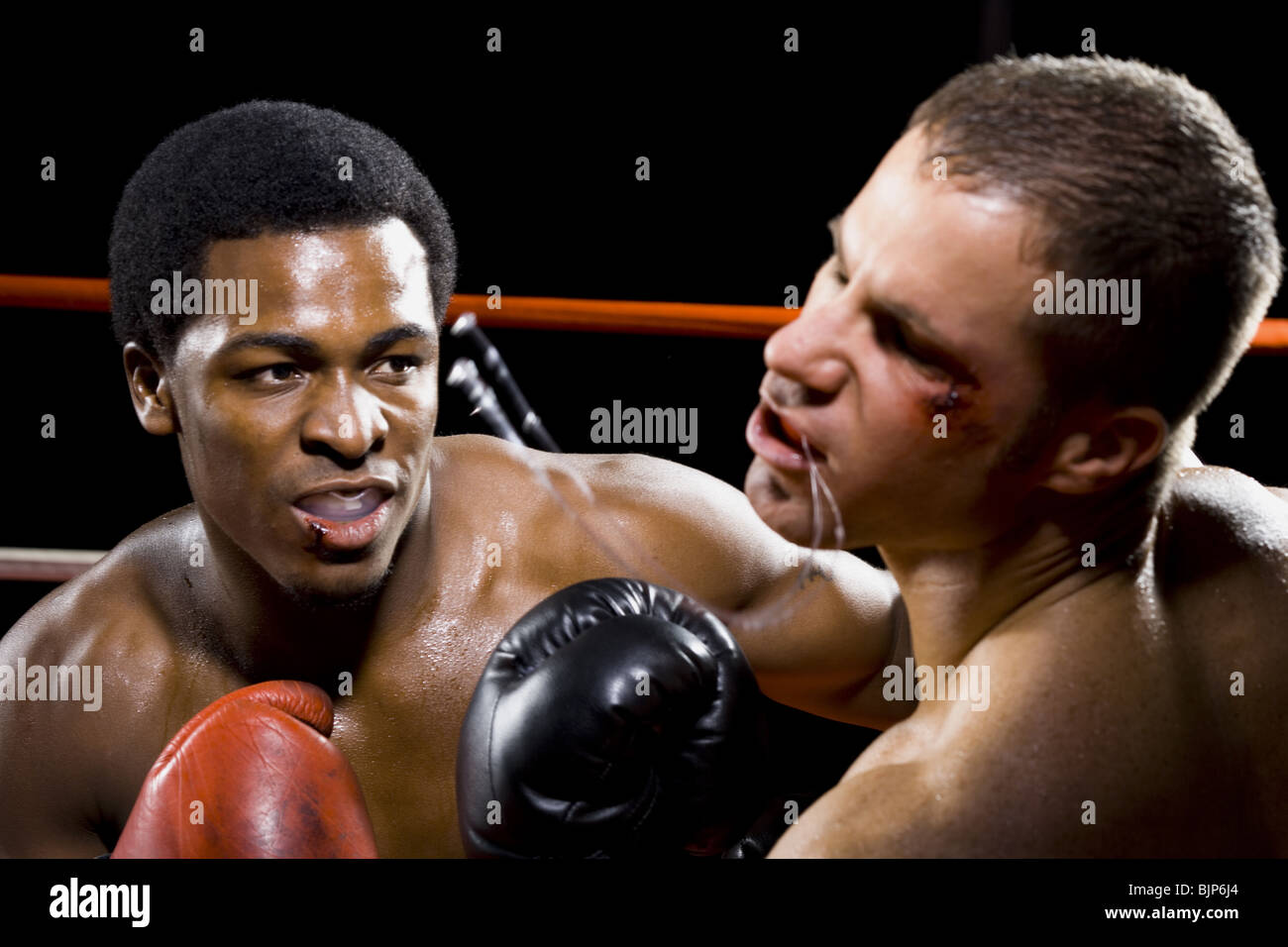 Boxing boxer gaze hi-res stock photography and images - Alamy