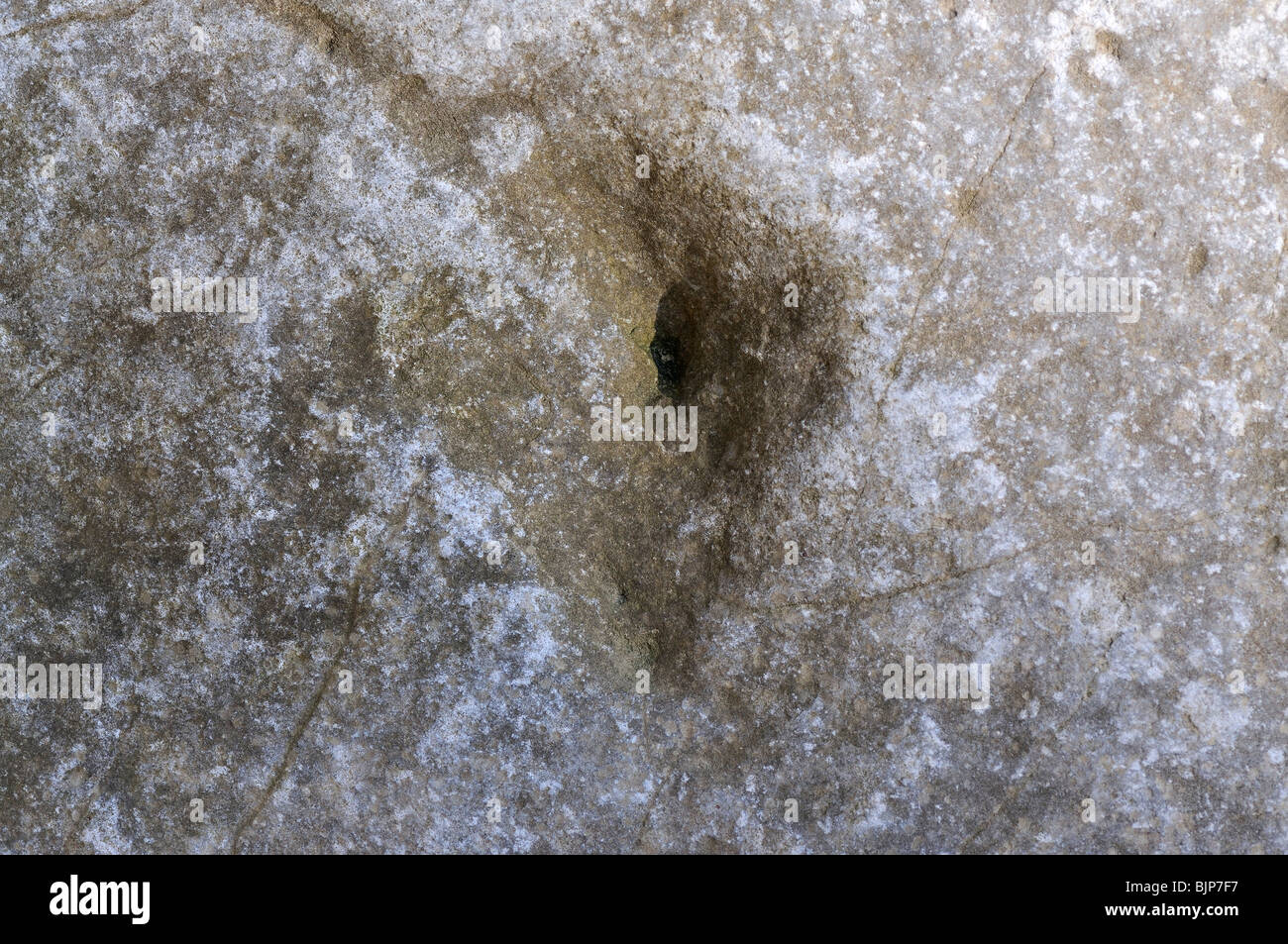 Texture and patterns in limestone Stock Photo - Alamy
