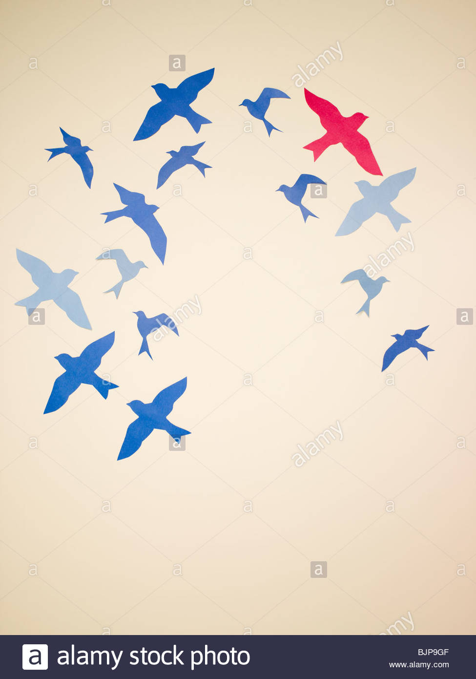 Collage Birds Stock Photos & Collage Birds Stock Images - Alamy