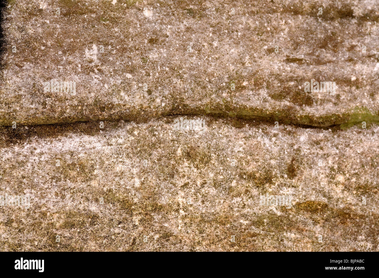 Texture and patterns in limestone Stock Photo - Alamy