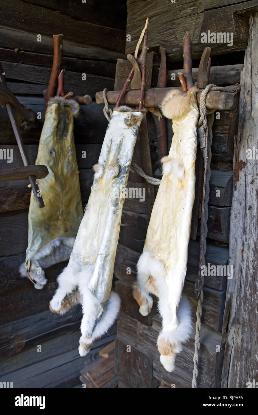 Fell farming hi-res stock photography and images - Alamy