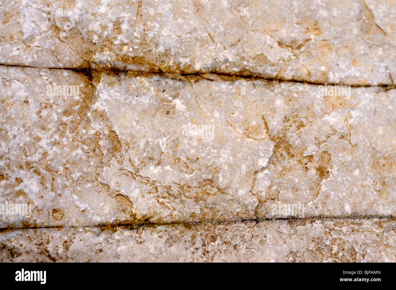 Texture and patterns in limestone Stock Photo - Alamy