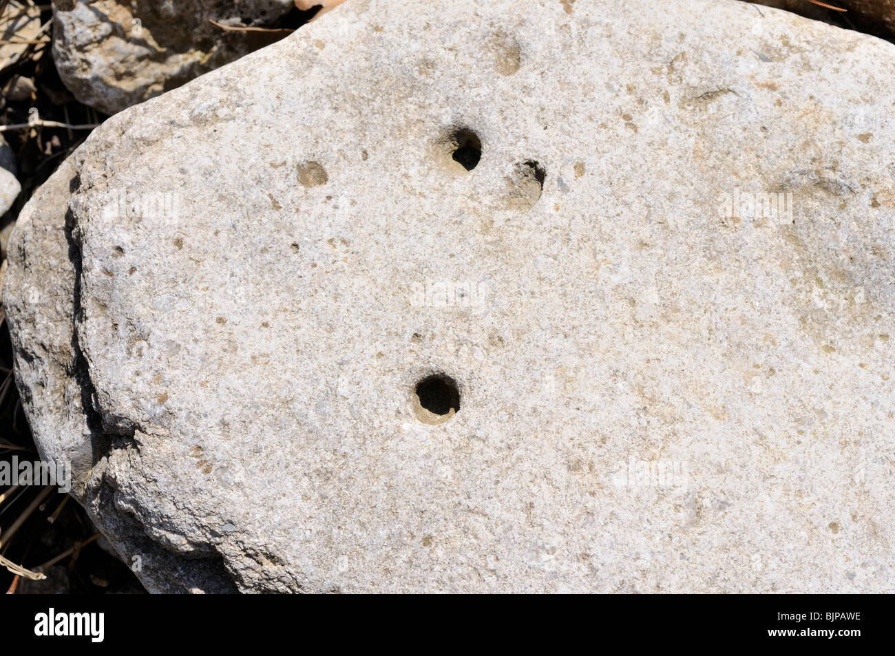 Texture and patterns in limestone Stock Photo - Alamy