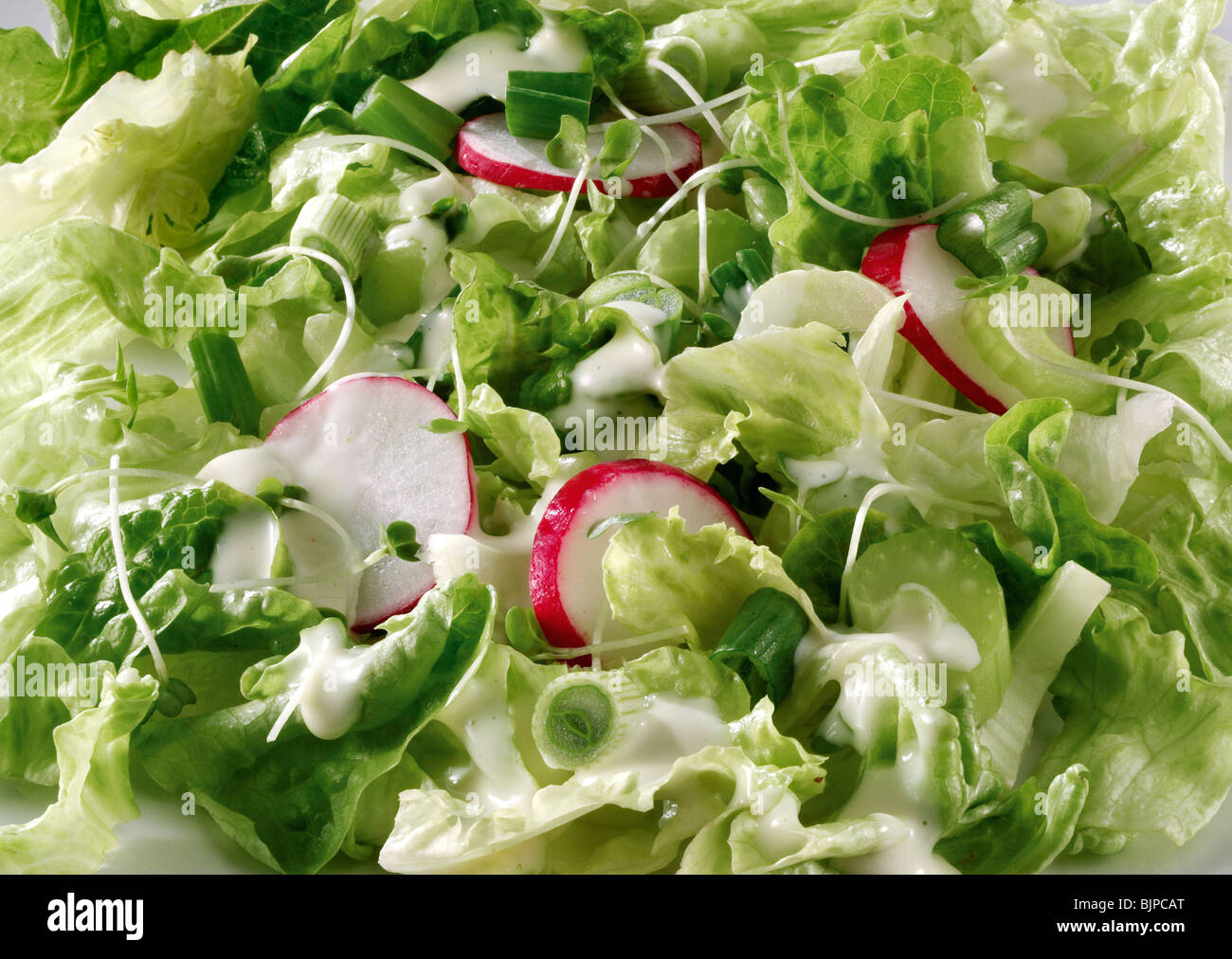 green salad leaves fresh lettuce Stock Photo - Alamy