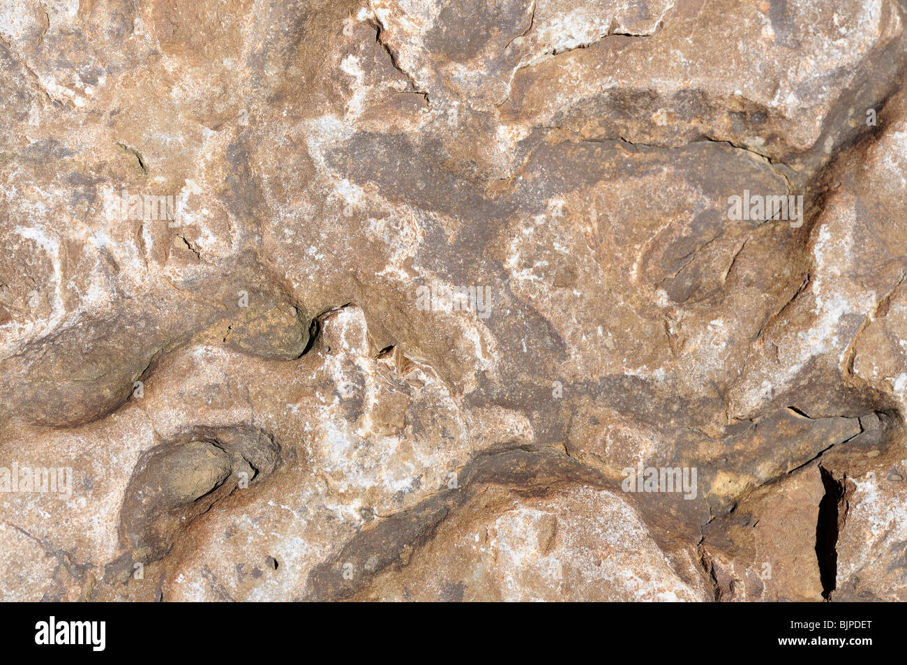 Texture and patterns in limestone Stock Photo - Alamy