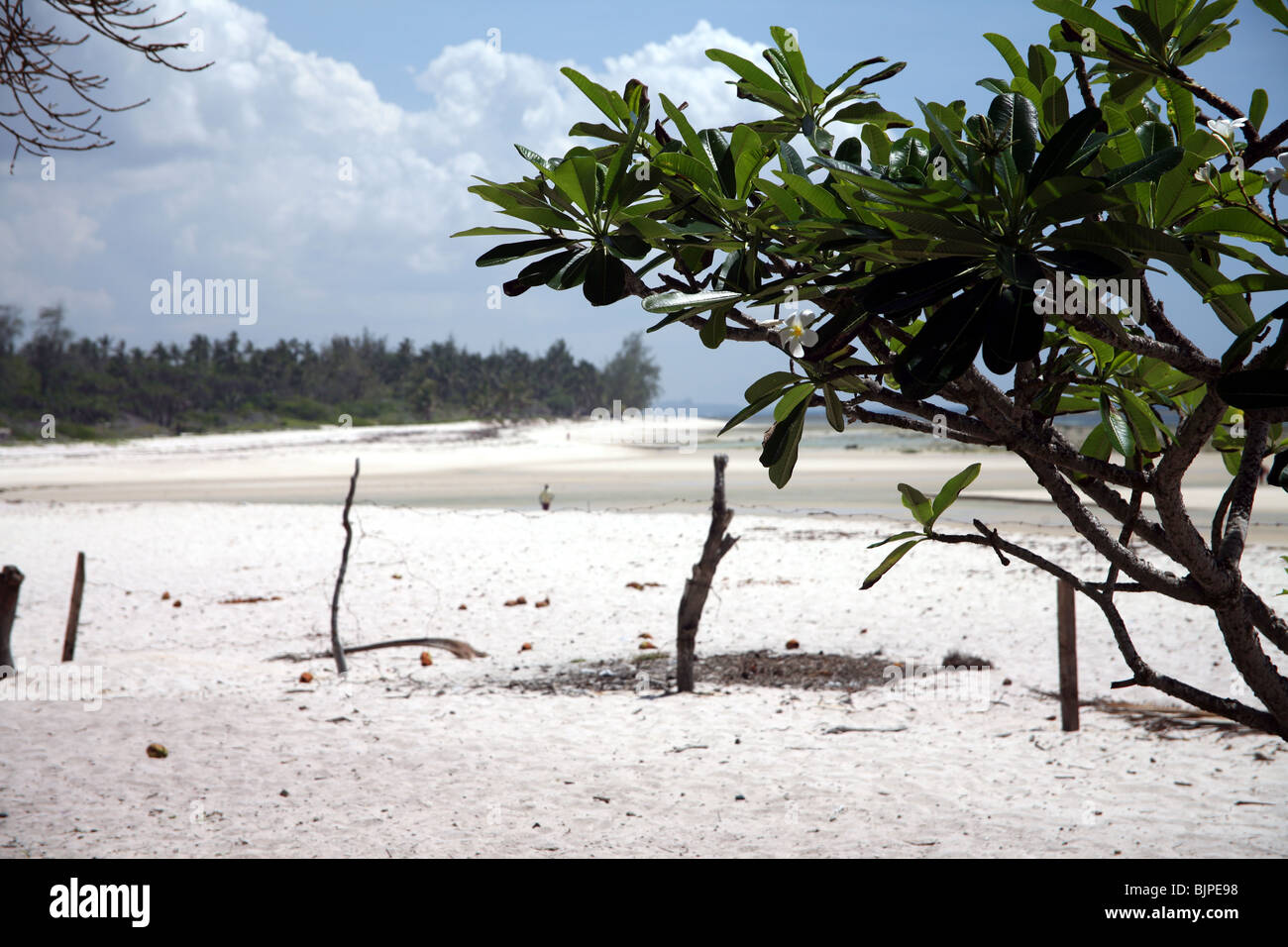 Diana beach hi-res stock photography and images - Alamy