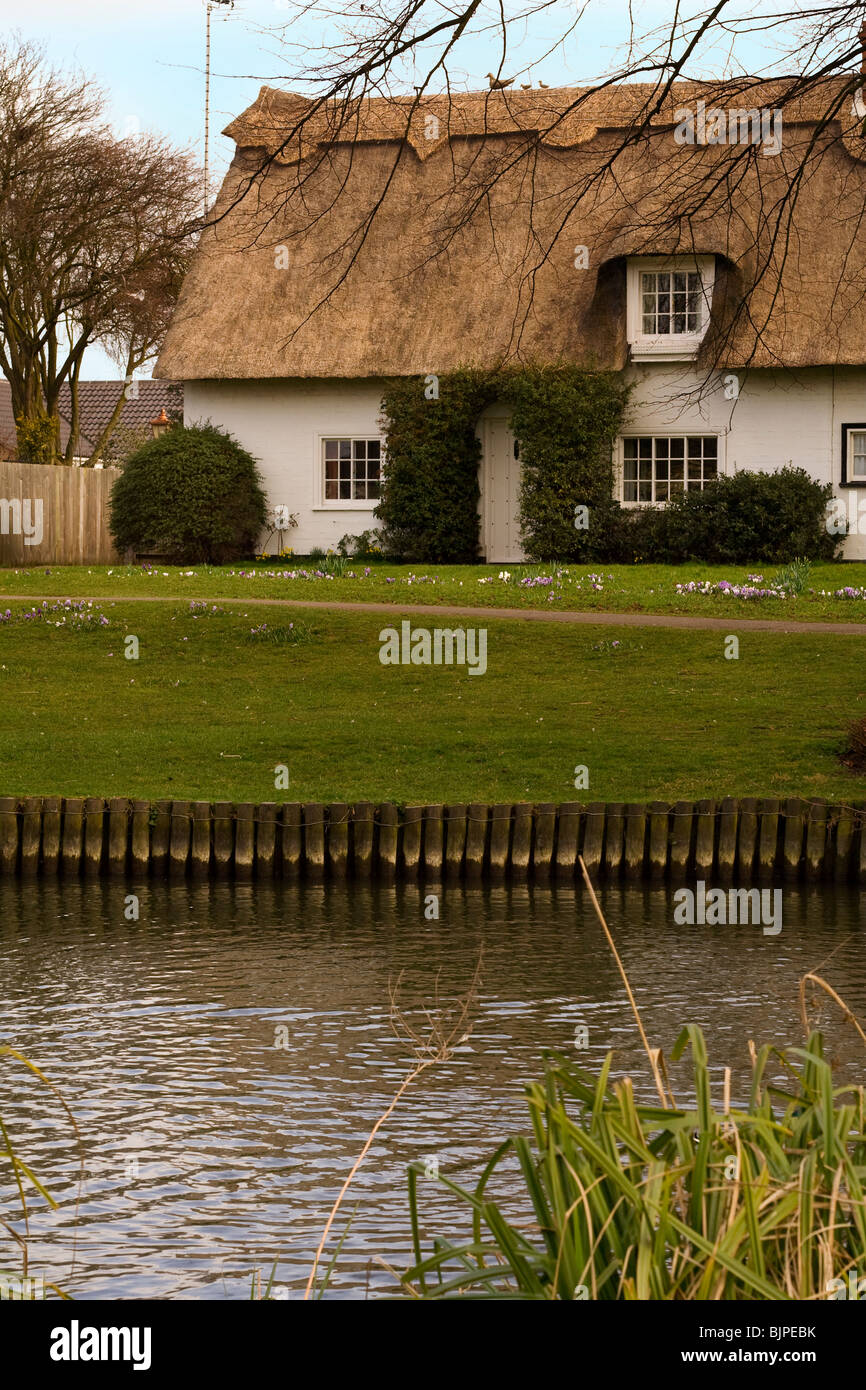 Reed roof hi-res stock photography and images - Alamy