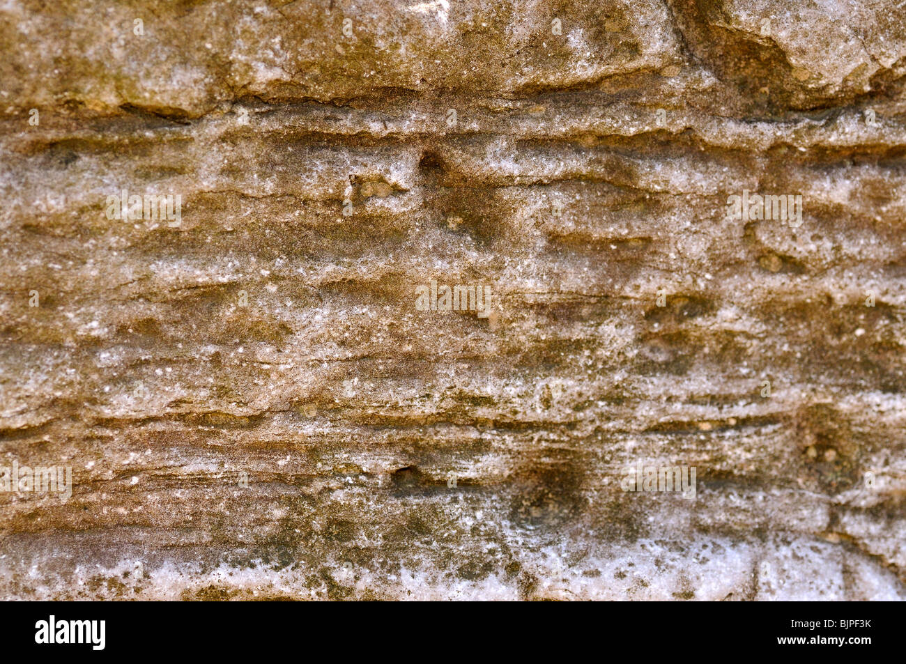 Texture and patterns in limestone Stock Photo - Alamy