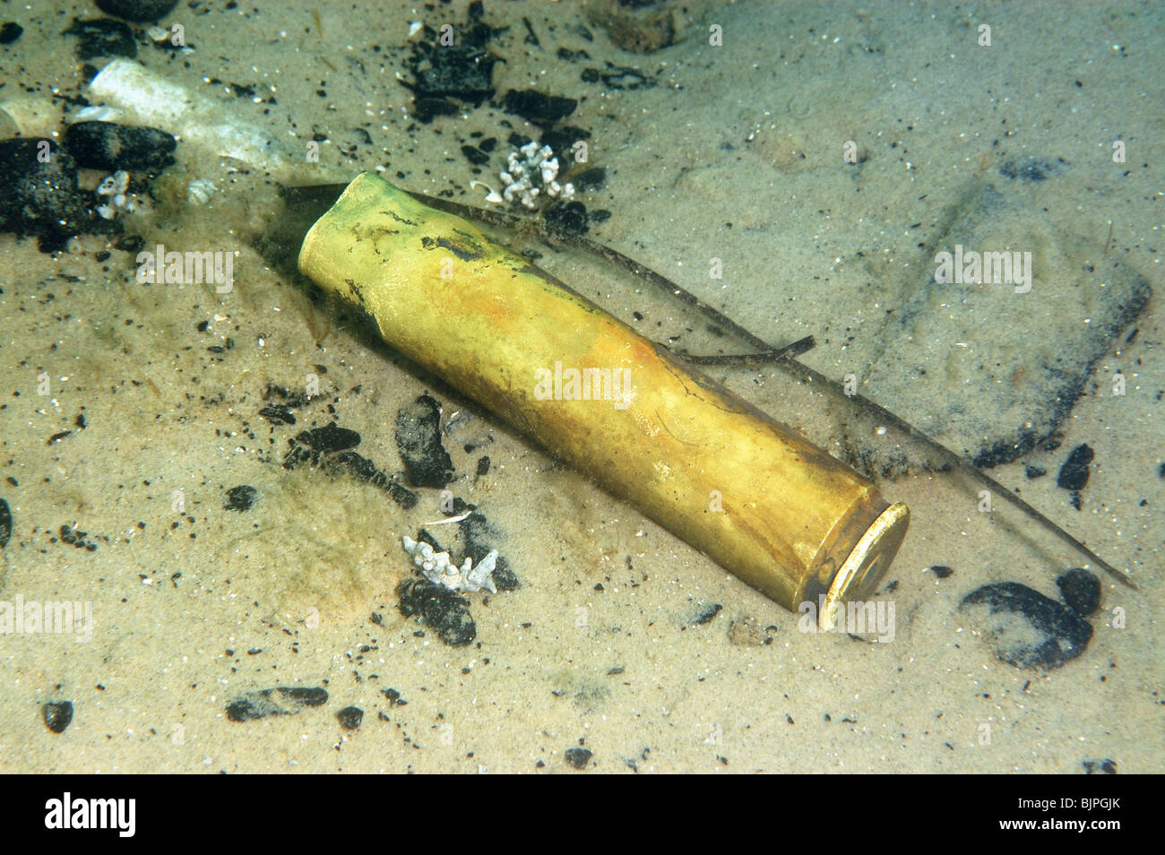 Shell case hi-res stock photography and images - Alamy