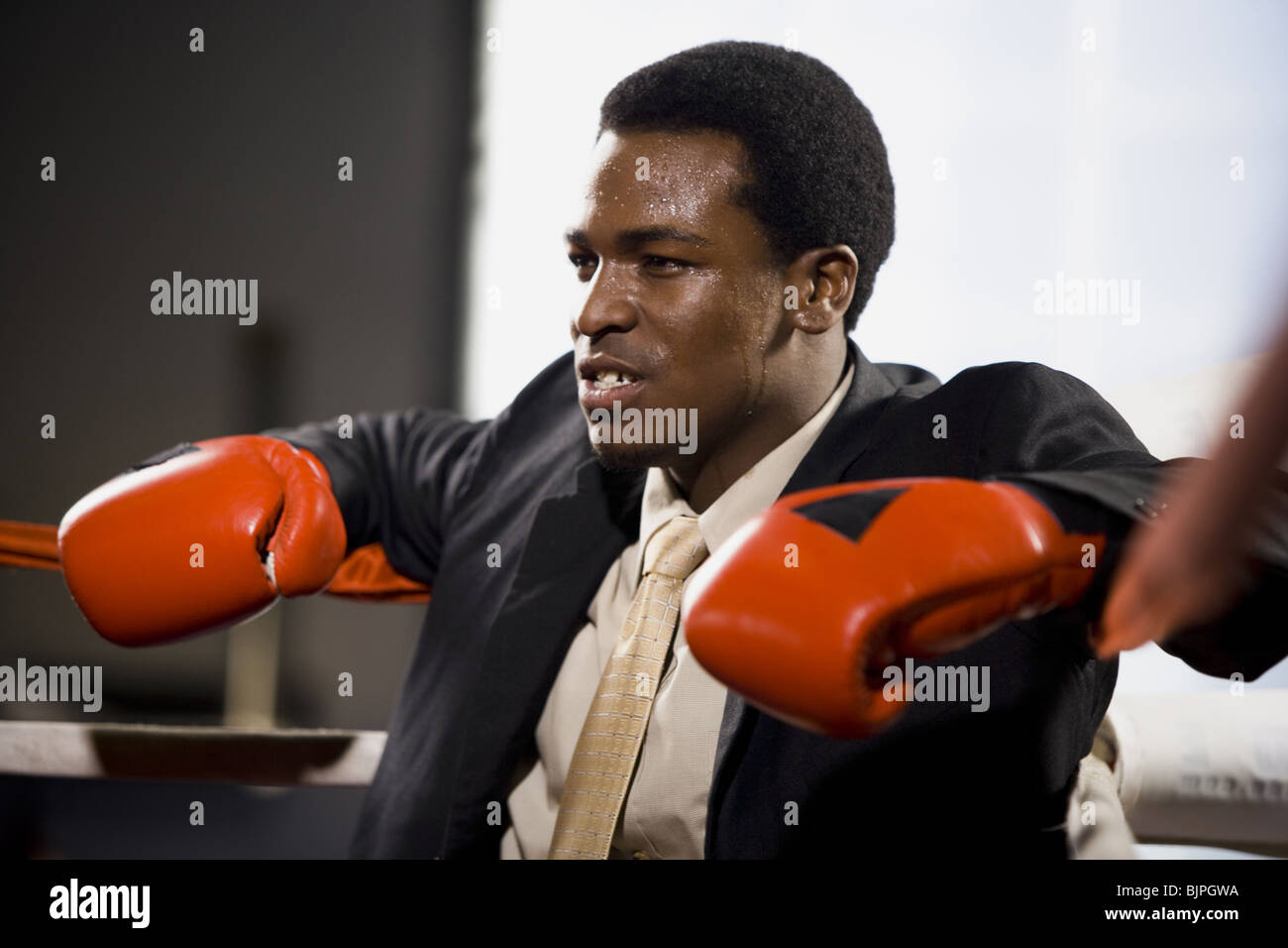 Professional boxing rings hi-res stock photography and images - Alamy
