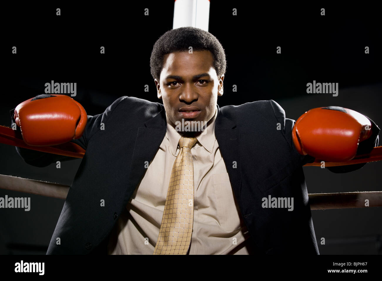 Seated boxer hi-res stock photography and images - Alamy