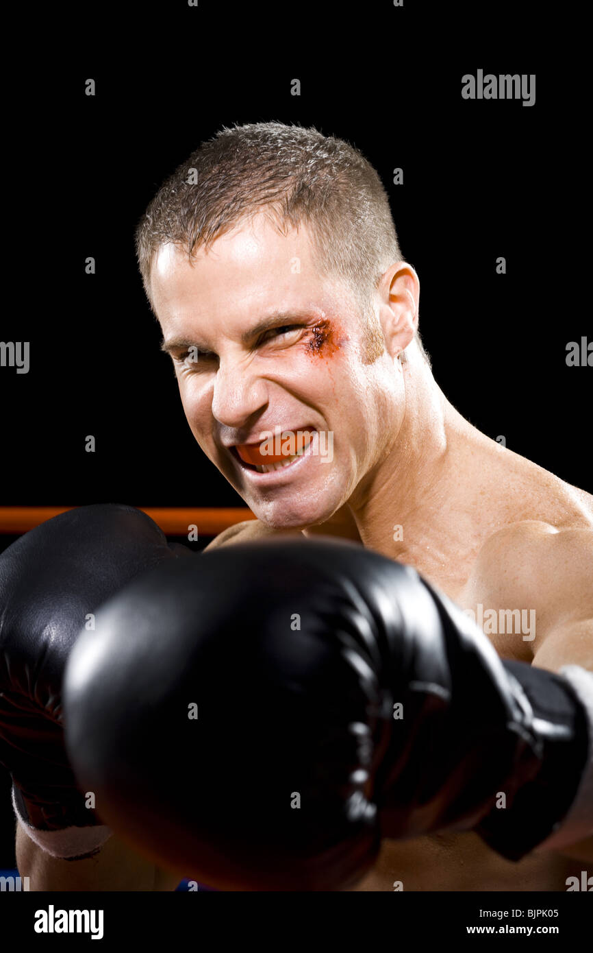 Half portrait boxer hi-res stock photography and images - Alamy