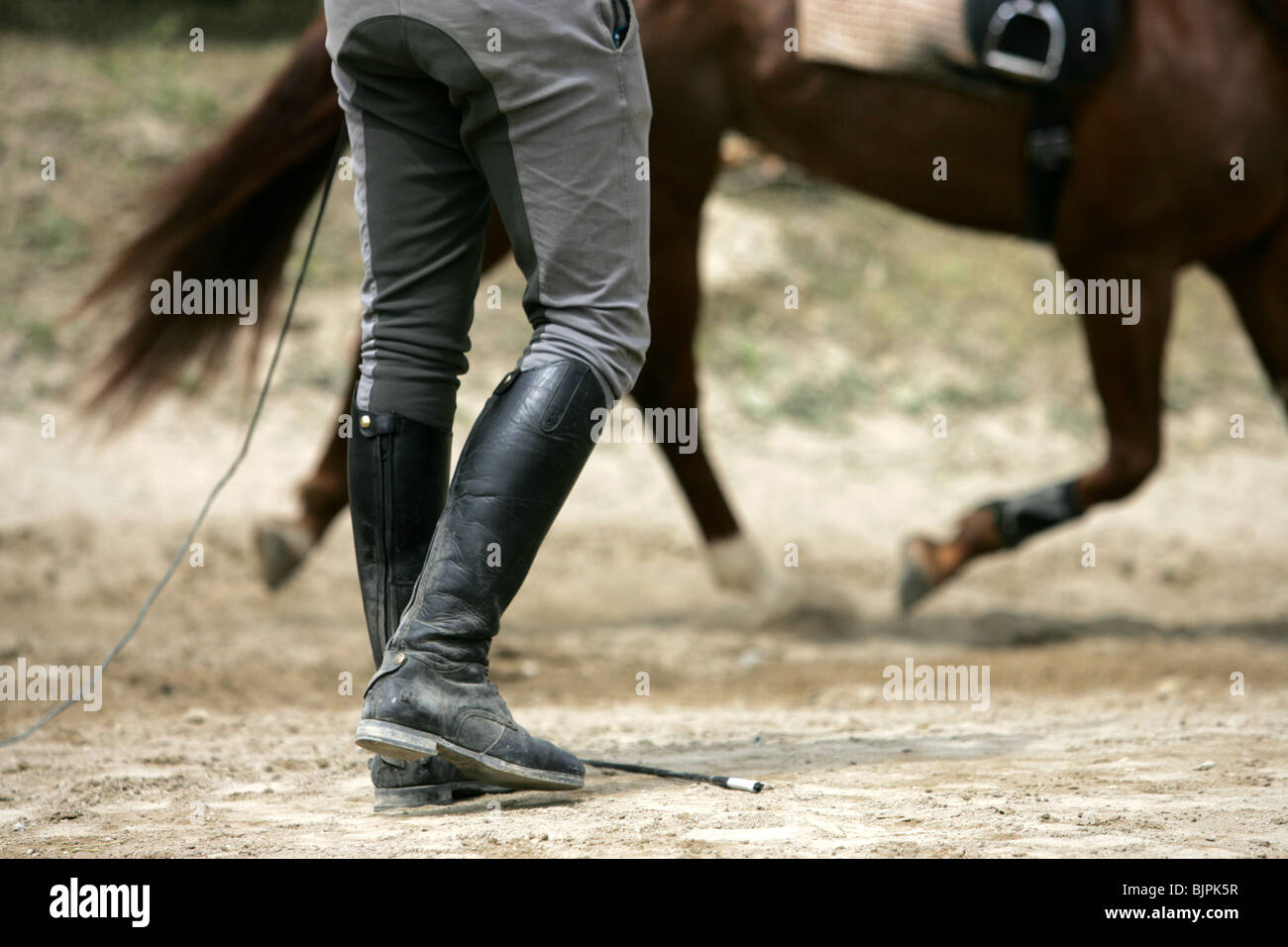 Training a horse hi-res stock photography and images - Alamy