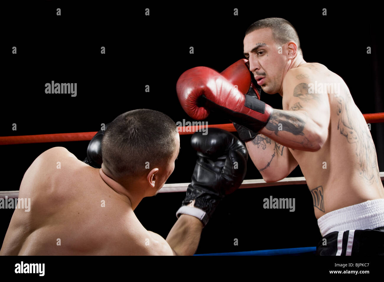 Contestants profile hi-res stock photography and images - Alamy
