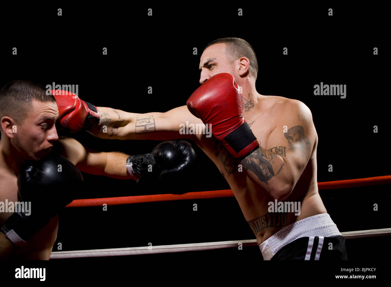 Contestants profile hi-res stock photography and images - Alamy