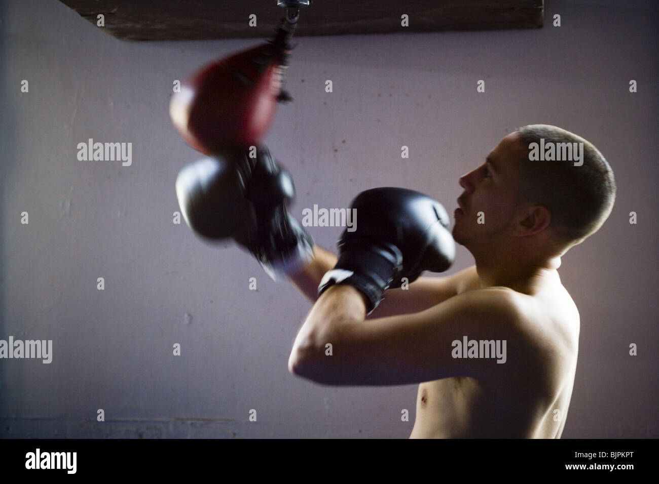 Boxing gymnasium model hi-res stock photography and images - Alamy