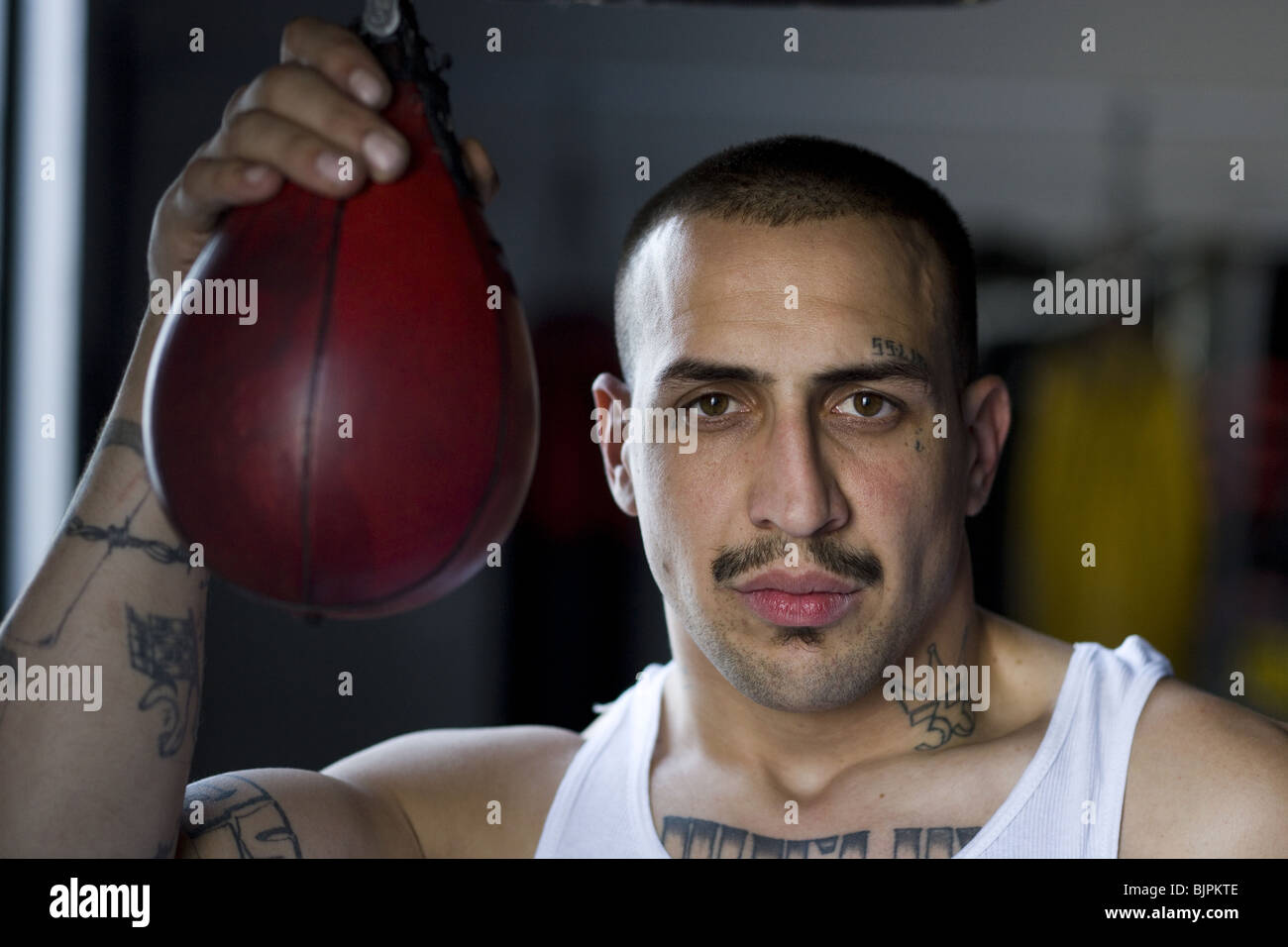 Boxing gym portraits hi-res stock photography and images - Alamy