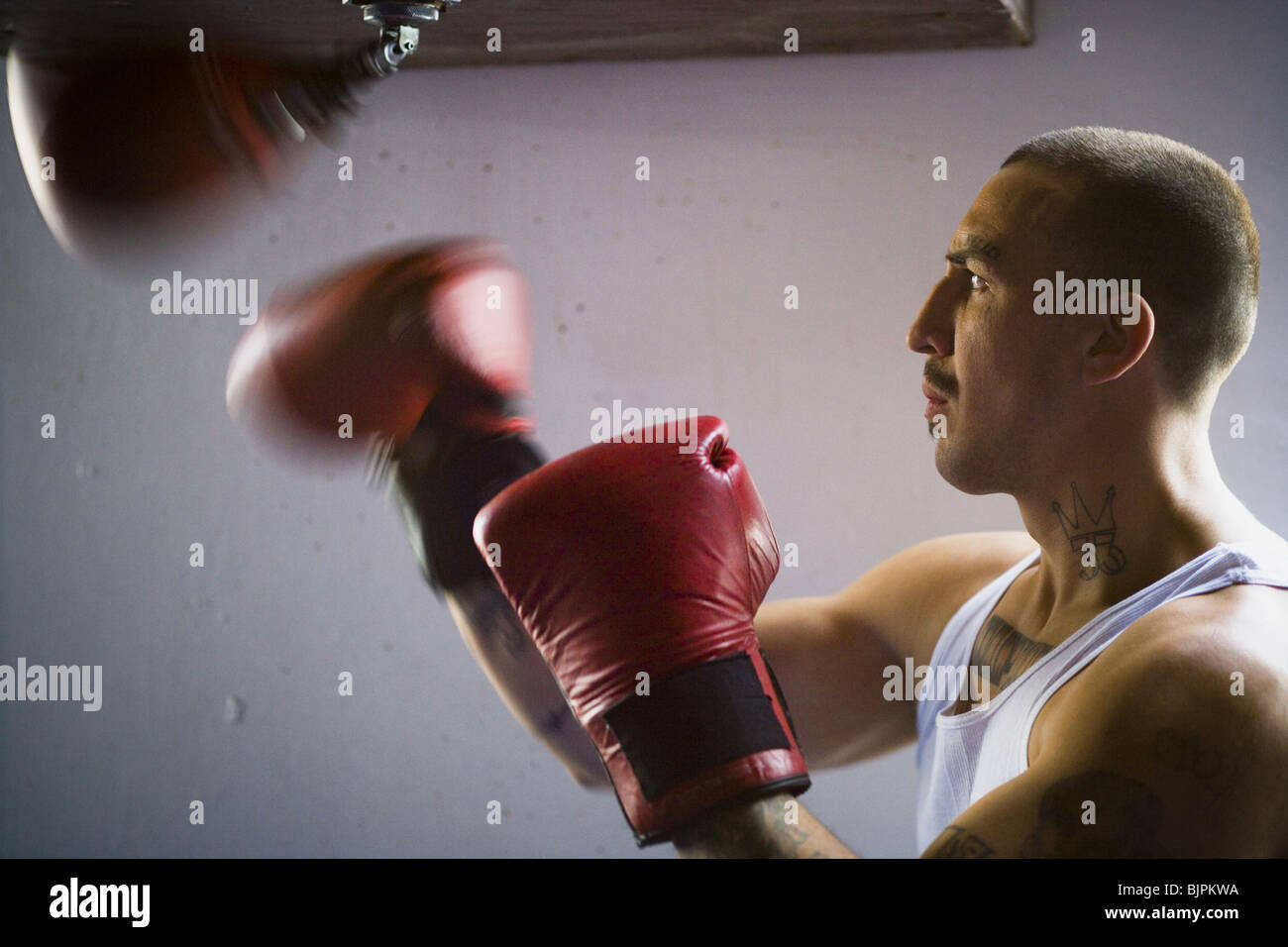 Boxing gym portraits hi-res stock photography and images - Alamy