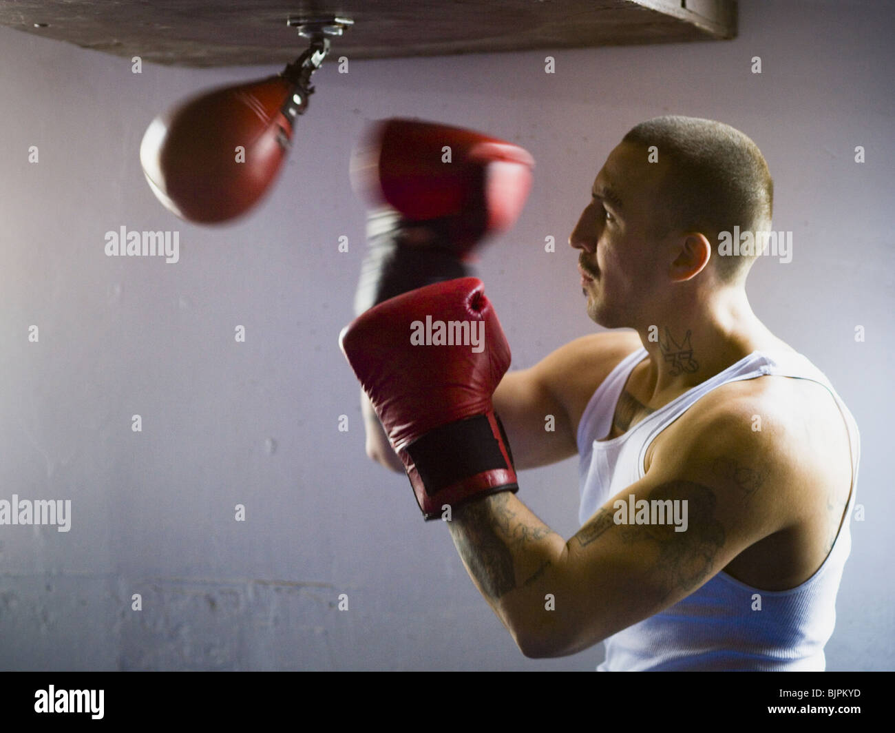 Boxing gym portraits hi-res stock photography and images - Alamy