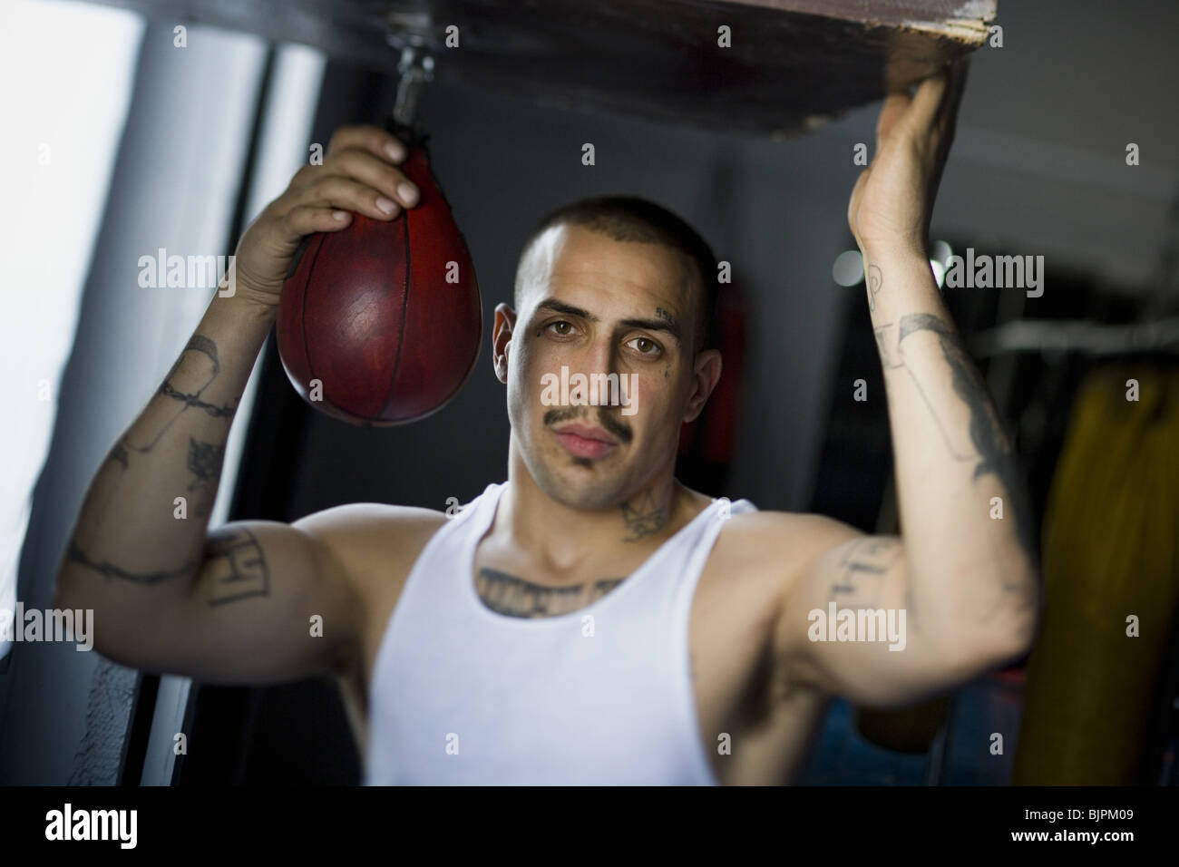Boxing gym portraits hi-res stock photography and images - Alamy