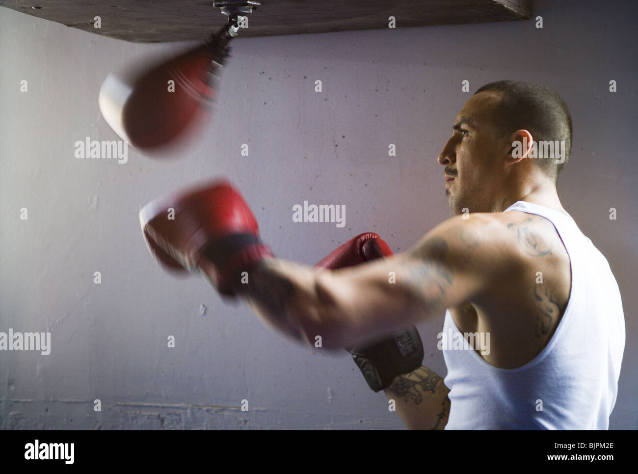 Boxing gymnasium model hi-res stock photography and images - Alamy