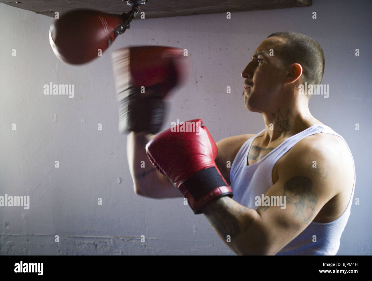 Boxing gymnasium model hi-res stock photography and images - Alamy