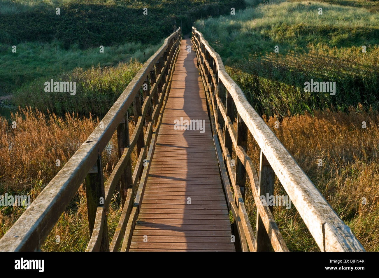 October 14th 2008. Thurlestone, Devon, England. A wooden footbridge ...