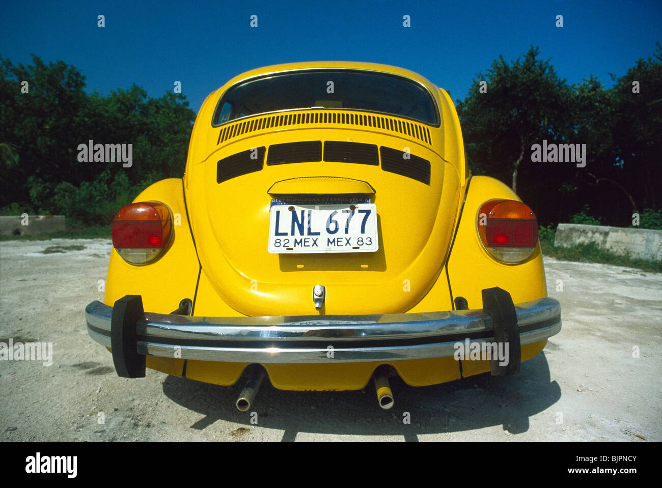 Vw Beetle License Plate High Resolution Stock Photography and Images ...