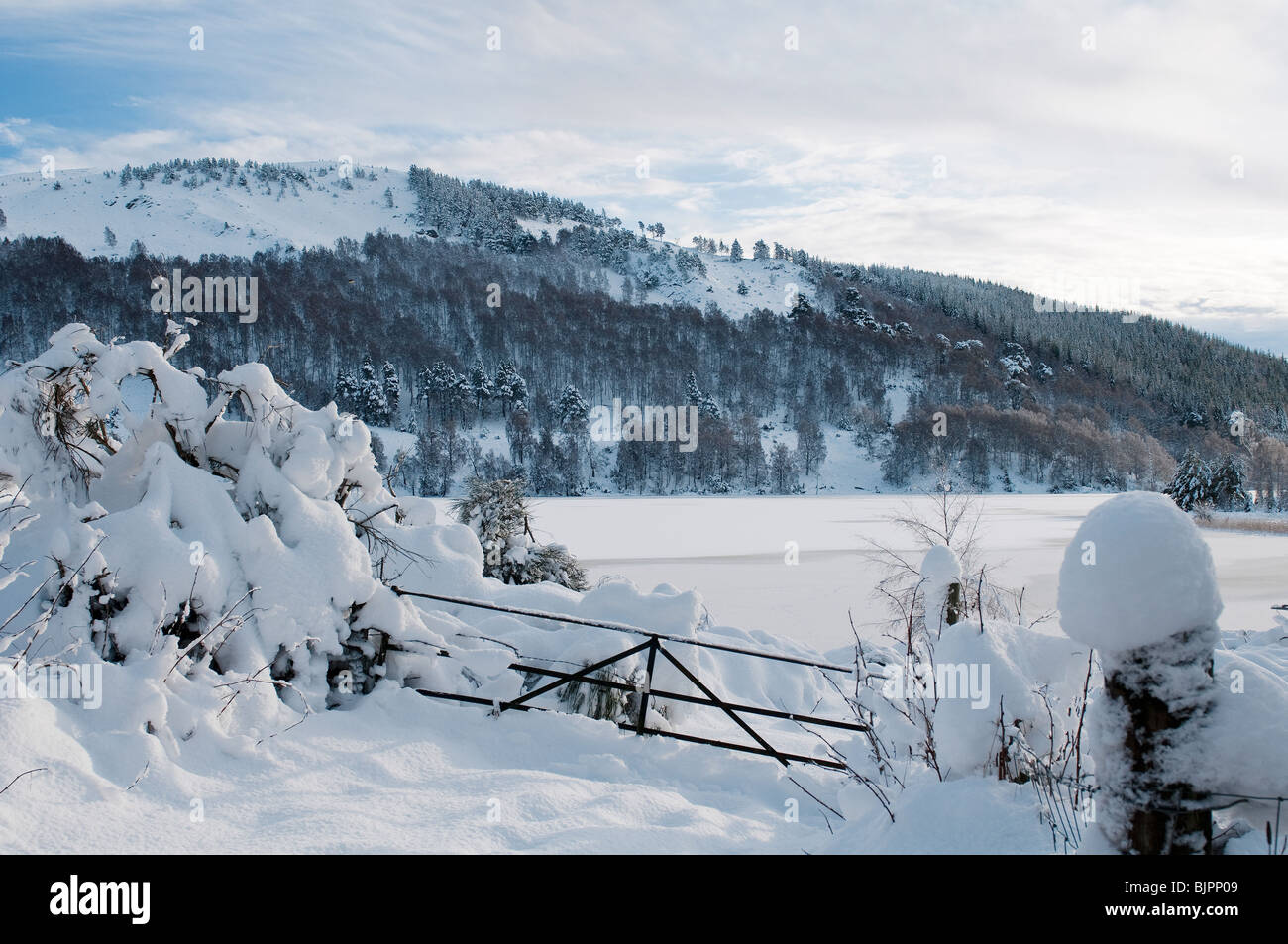 A gate deep in snow by the frozen Loch Pityoulish, Scotland Stock Photo ...