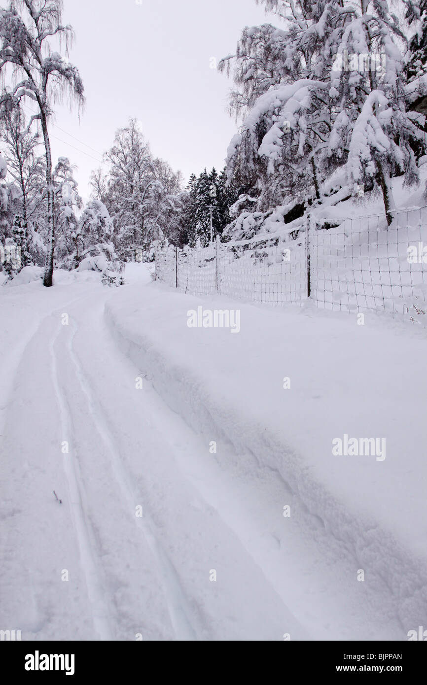 track ruts in deep snow Stock Photo - Alamy
