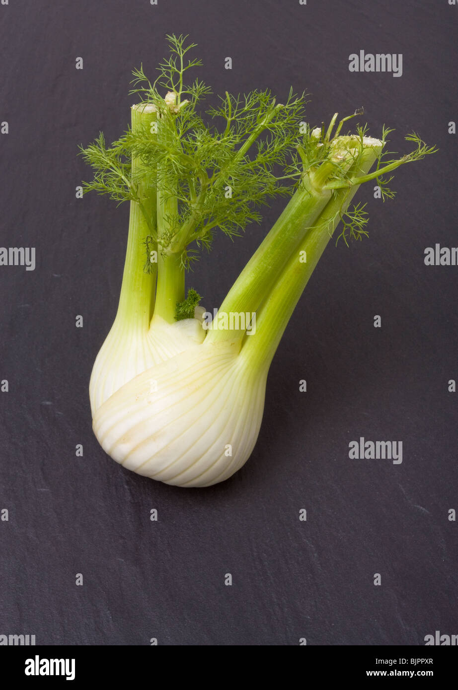 Fennel bulb hi-res stock photography and images - Alamy