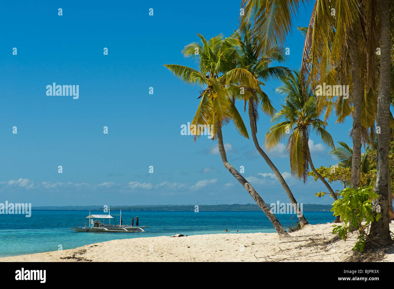 palms Beach Malapascua Island Cebu Philippines Visayan Sea sun sunny ...