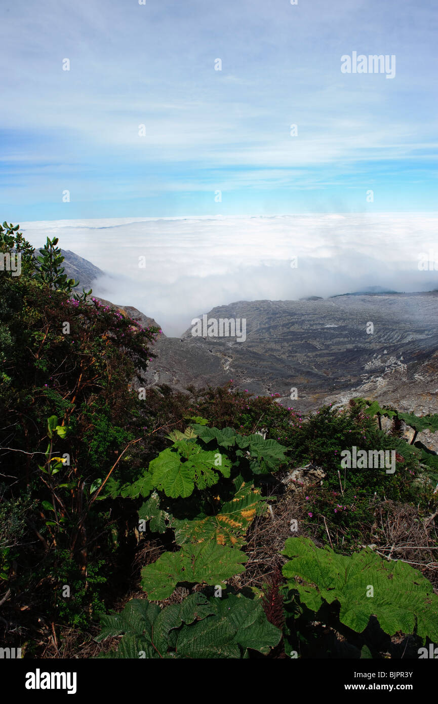 Volcano poas hi-res stock photography and images - Alamy