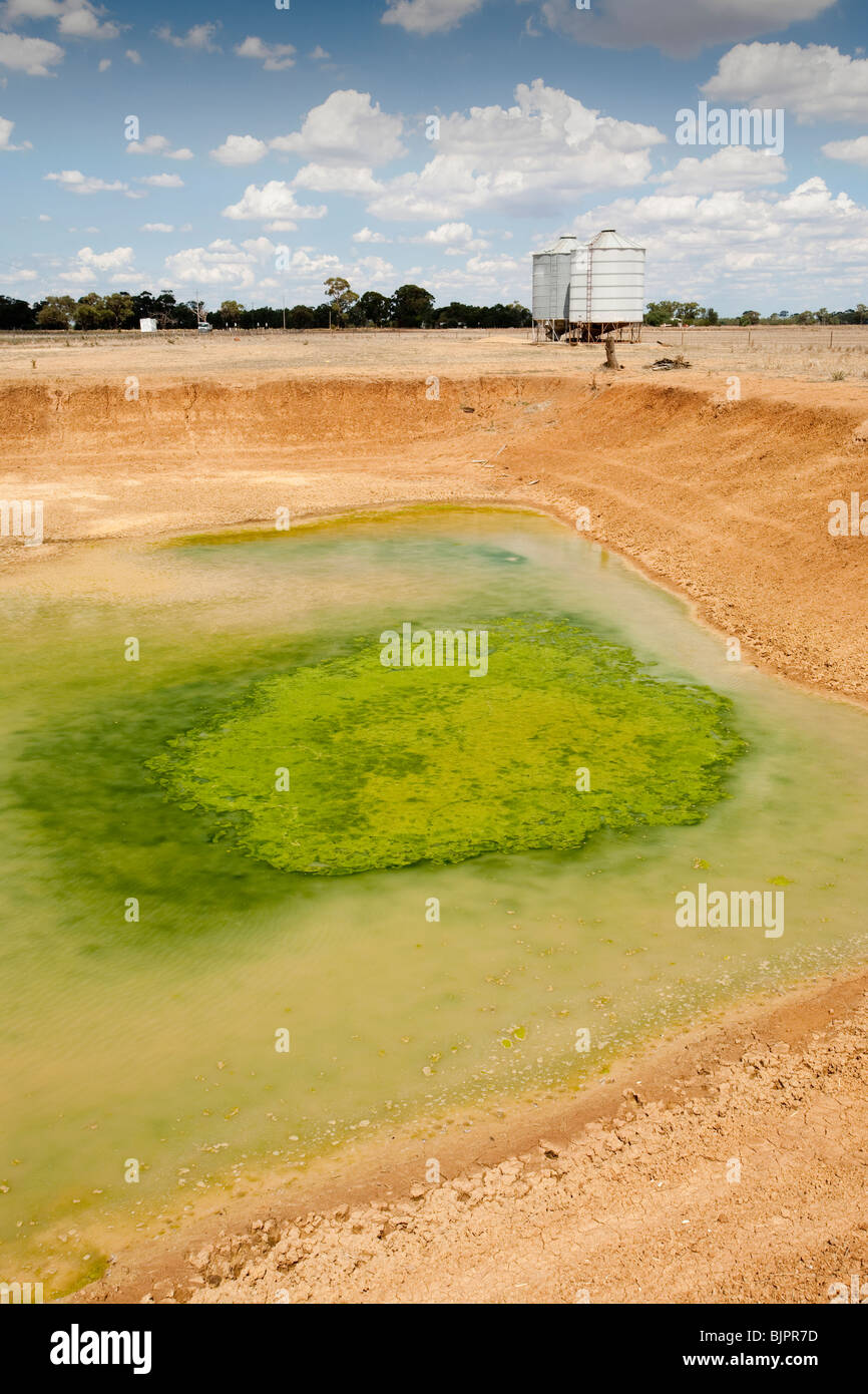 Algae farm hi-res stock photography and images - Alamy