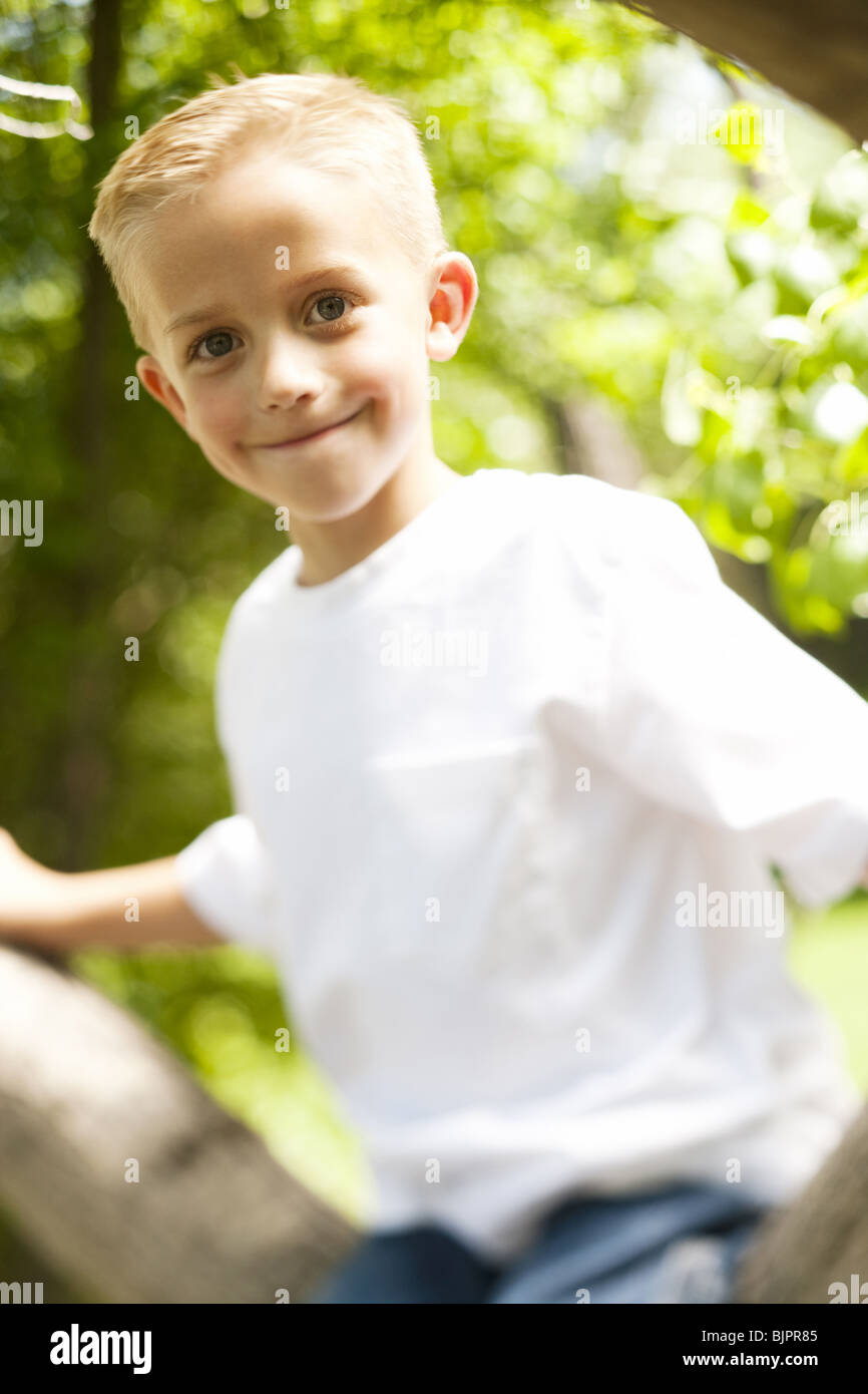 Boy sitting in a tree Stock Photo - Alamy