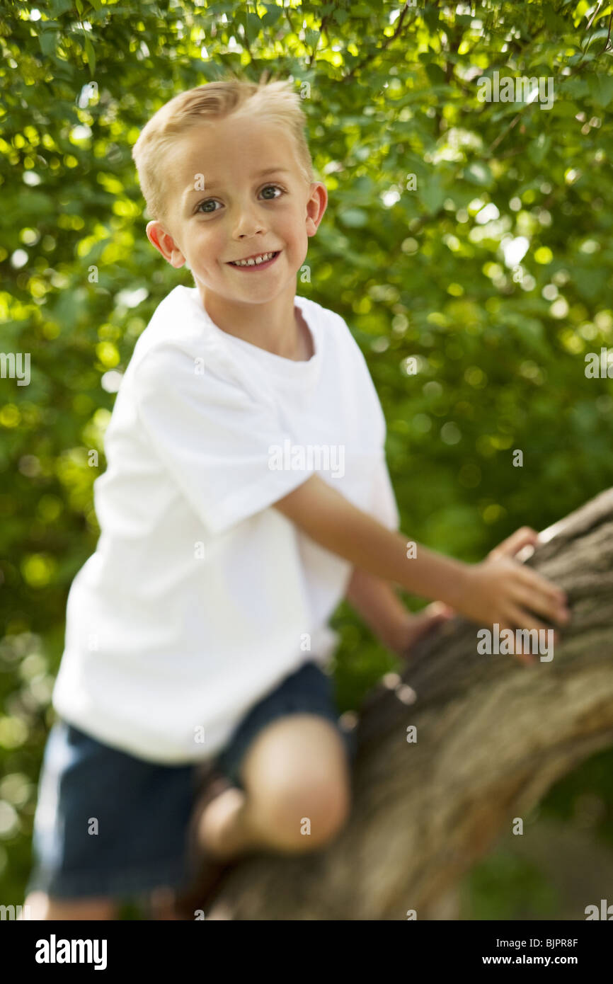 Boy sitting in a tree Stock Photo - Alamy