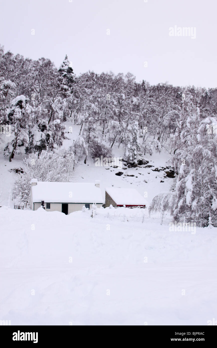 Rothiemurchus estate hi-res stock photography and images - Alamy