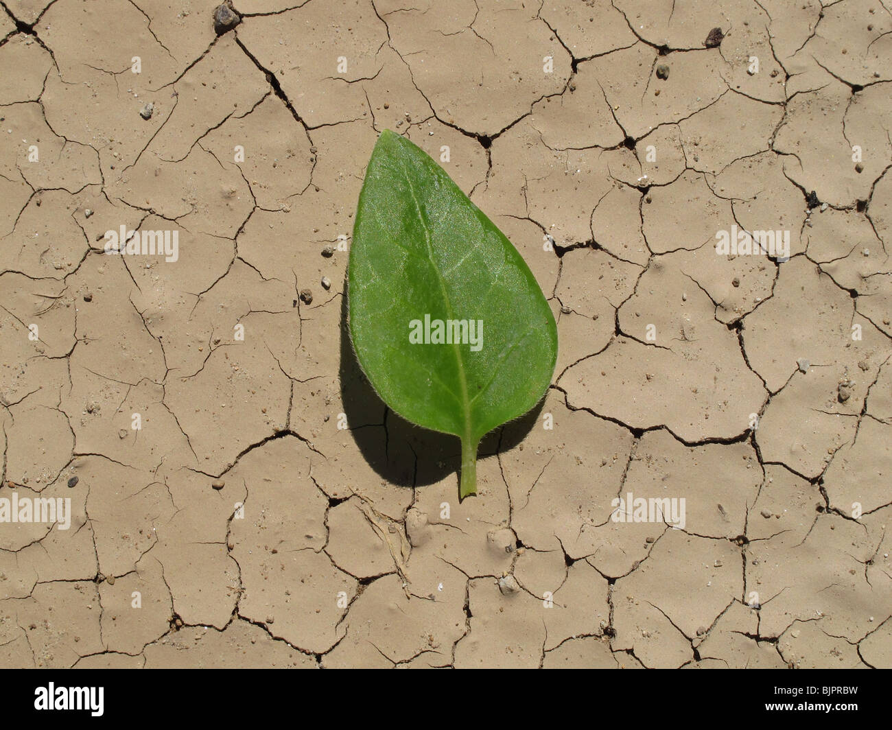 abstract photograph of global warming Stock Photo - Alamy