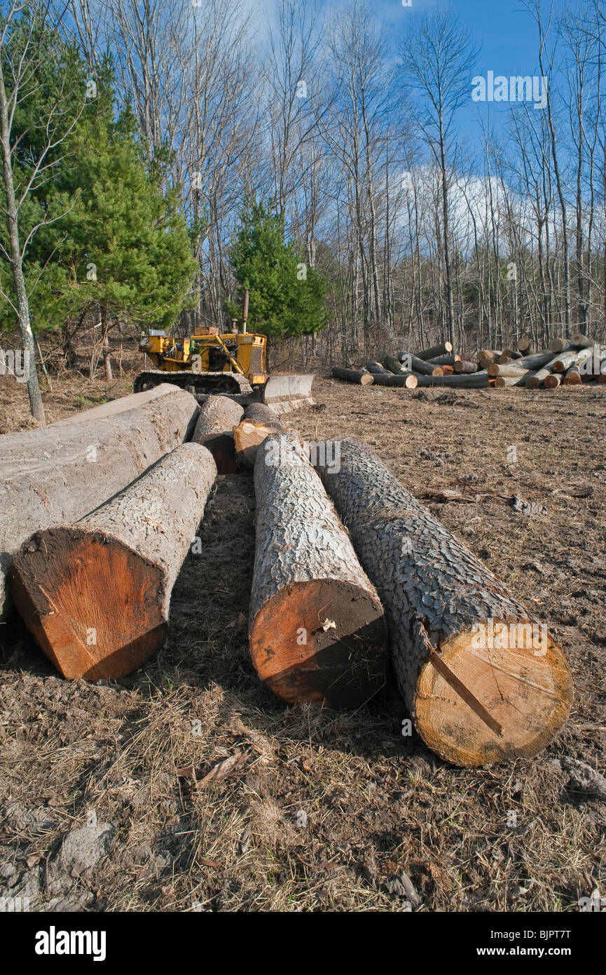 Bulldozer logging bulldozer hi-res stock photography and images - Alamy