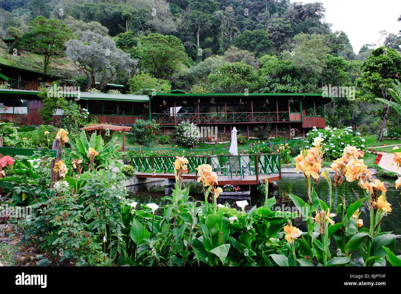 San Gerardo de Dota national park and Cloud forest Costa Rica Stock ...