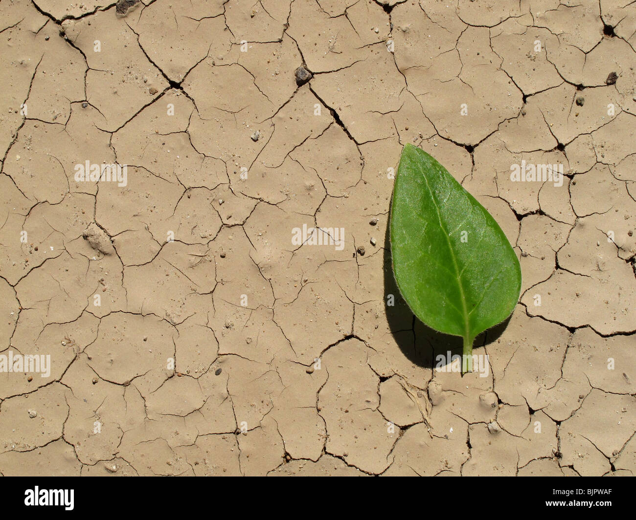 abstract photograph of global warming Stock Photo - Alamy