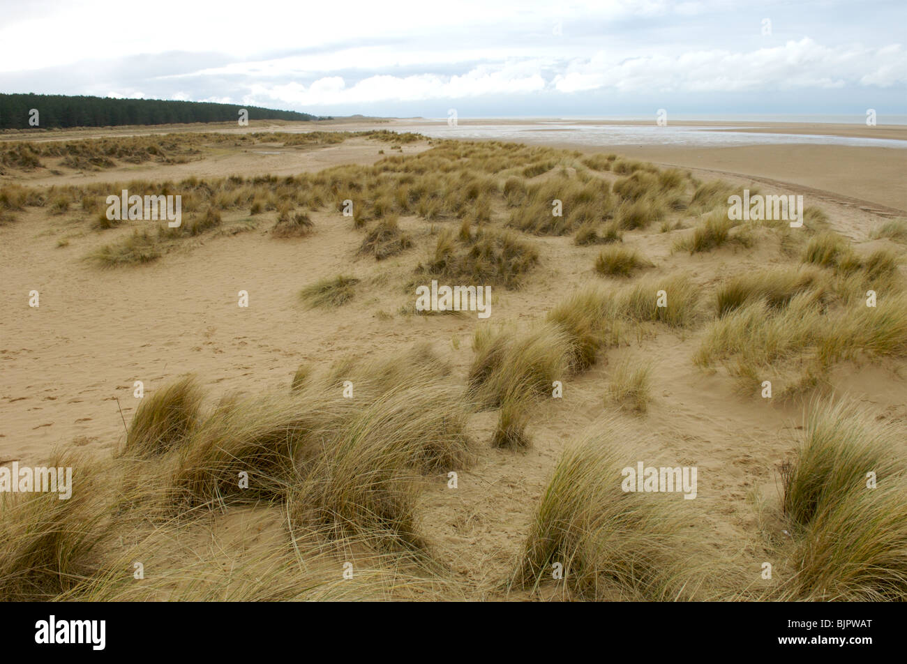 Holkham beach in Norfolk, Great Britain Stock Photo - Alamy